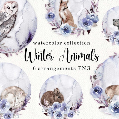 Watercolor Arctic Animals Clipart Christmas Arrangements - Etsy Australia