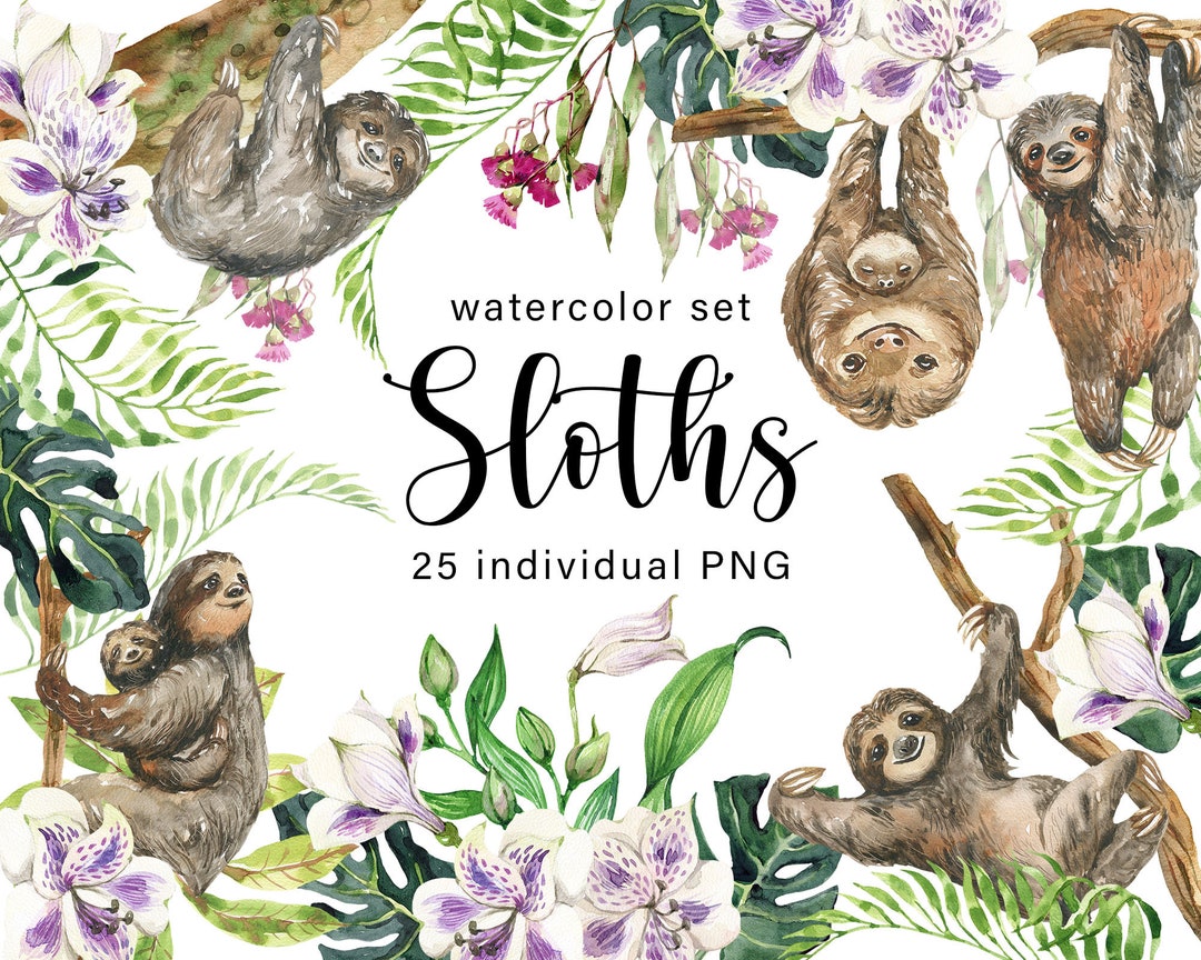 Watercolor Clipart Animal Sloths Tropical Clipart Baby Jungle Animal ...