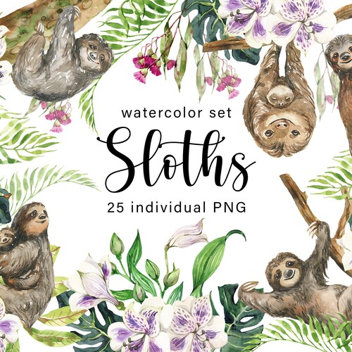 Watercolor Clipart Animal Sloths Tropical Clipart Baby Jungle - Etsy