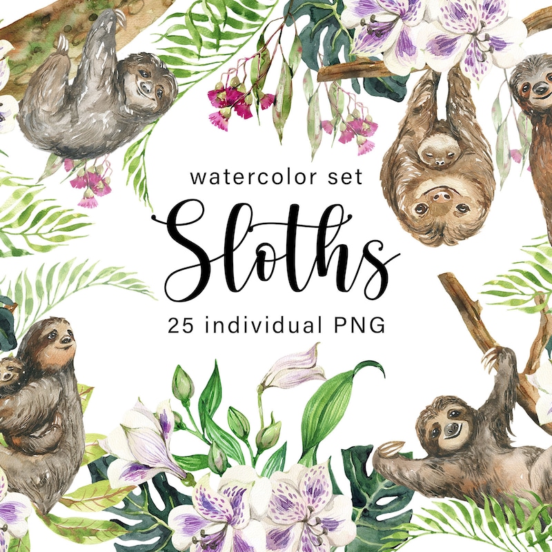 Sloth Watercolor - Etsy