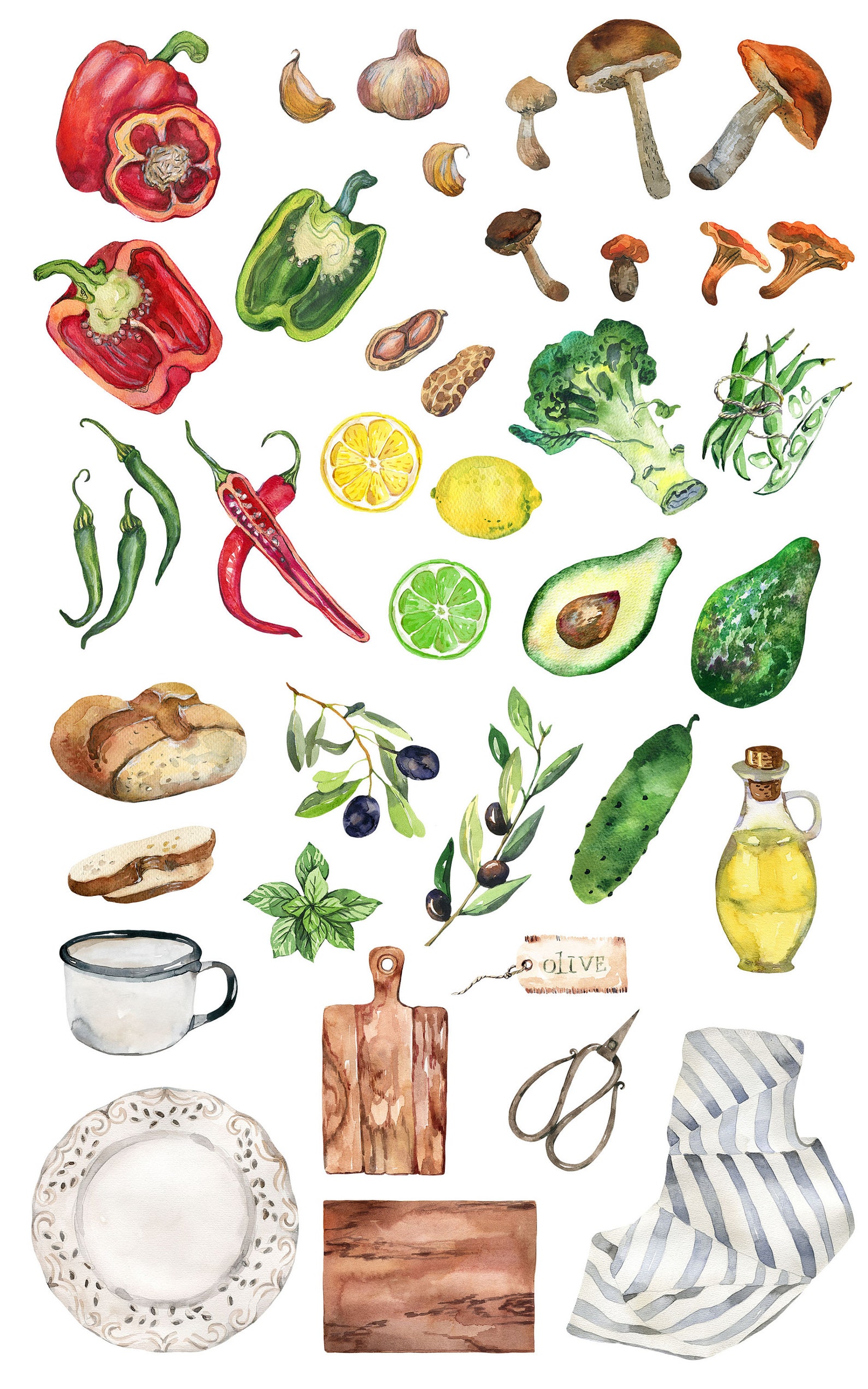 Watercolor Clipart Veggies and Herbs Vegan Food Clipart - Etsy