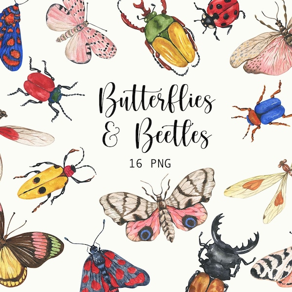 Insect Clipart - Etsy