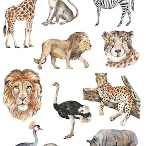 Watercolor African Animals Clipart Wild Animals Logo Design Lion Safari ...
