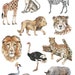 Watercolor African Animals Clipart Wild Animals Logo Design Lion Safari ...