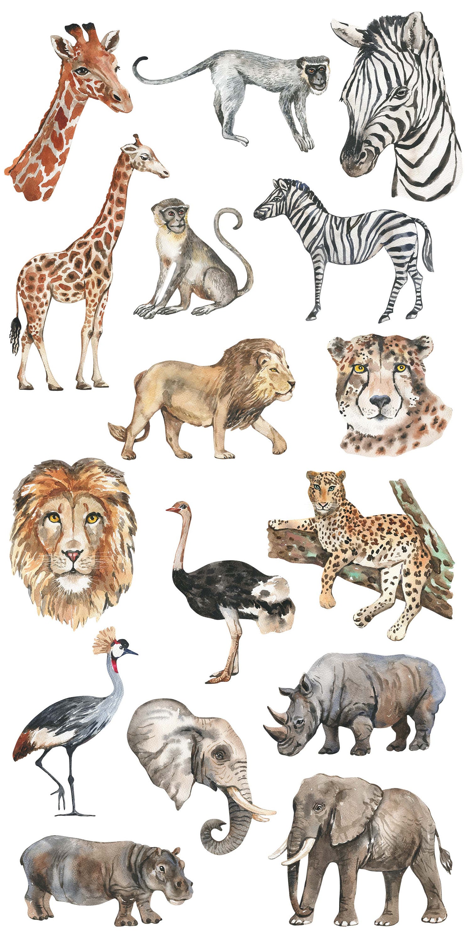 Watercolor African Animals Clipart Wild Animals Logo Design Lion Safari ...