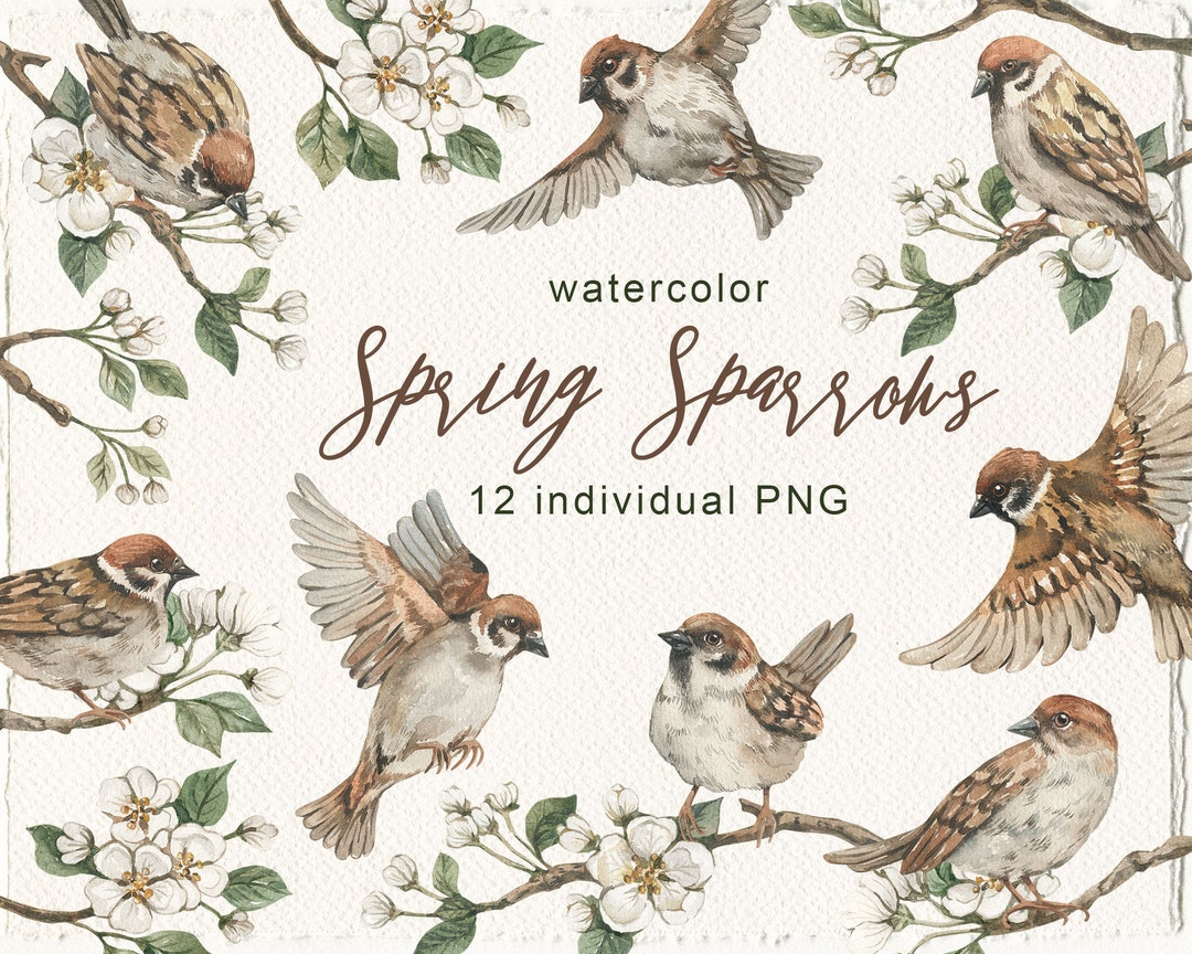 Watercolor Spring Sparrows Blossoming Apple Tree Illustration Card ...