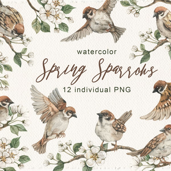 Sparrow Watercolor - Etsy