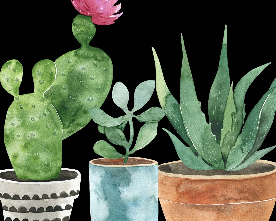 Watercolor Cacti Clipart Home Watercolour Plant Succulents - Etsy