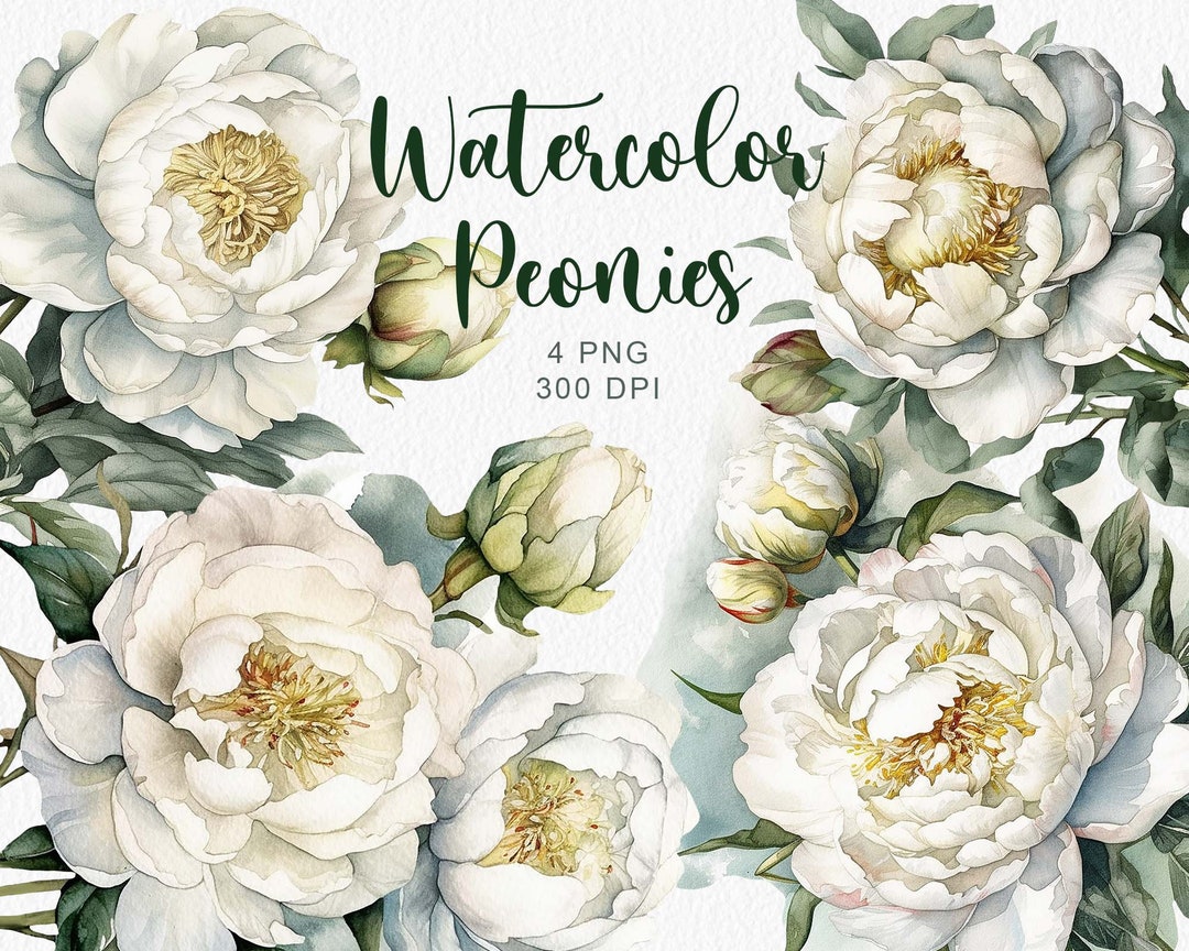 Watercolor Peonies Clipart Floral Arrangement Garden Flowers Clipart ...