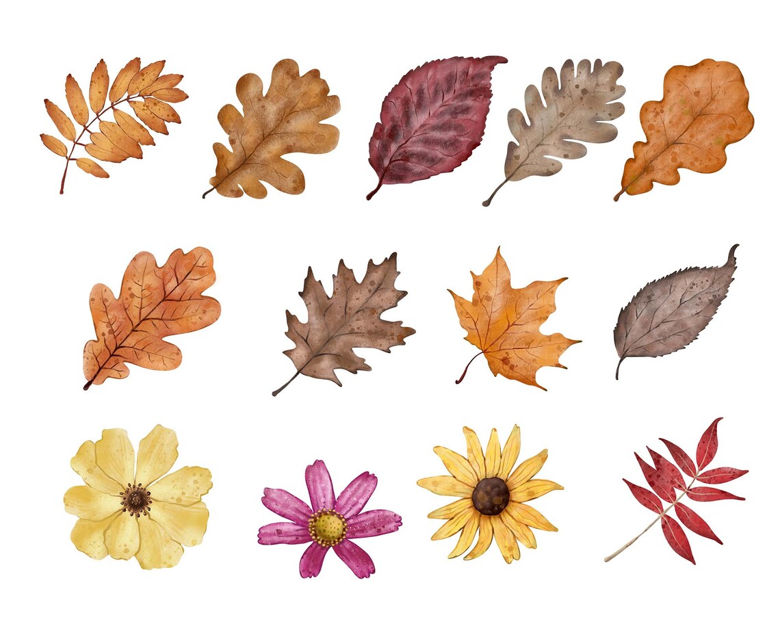 Hand Drawn Autumn Collection Clipart Fall Leaves Clip Art Cozy - Etsy