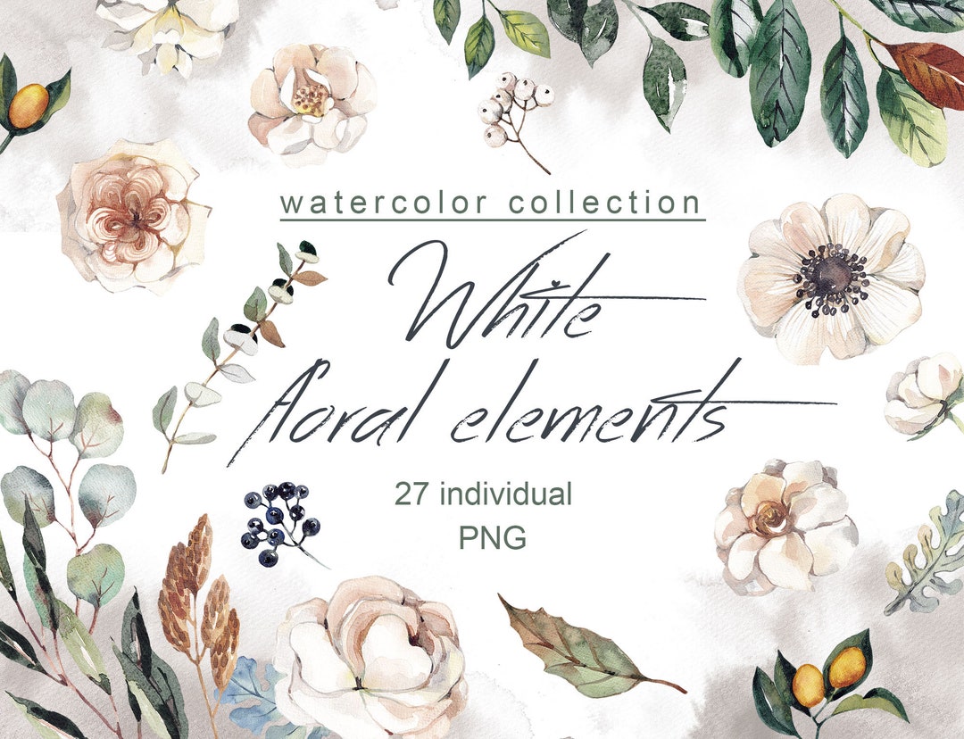 Watercolor Floral Clipart Eucalyptus Clipart Watercolor Roses White ...