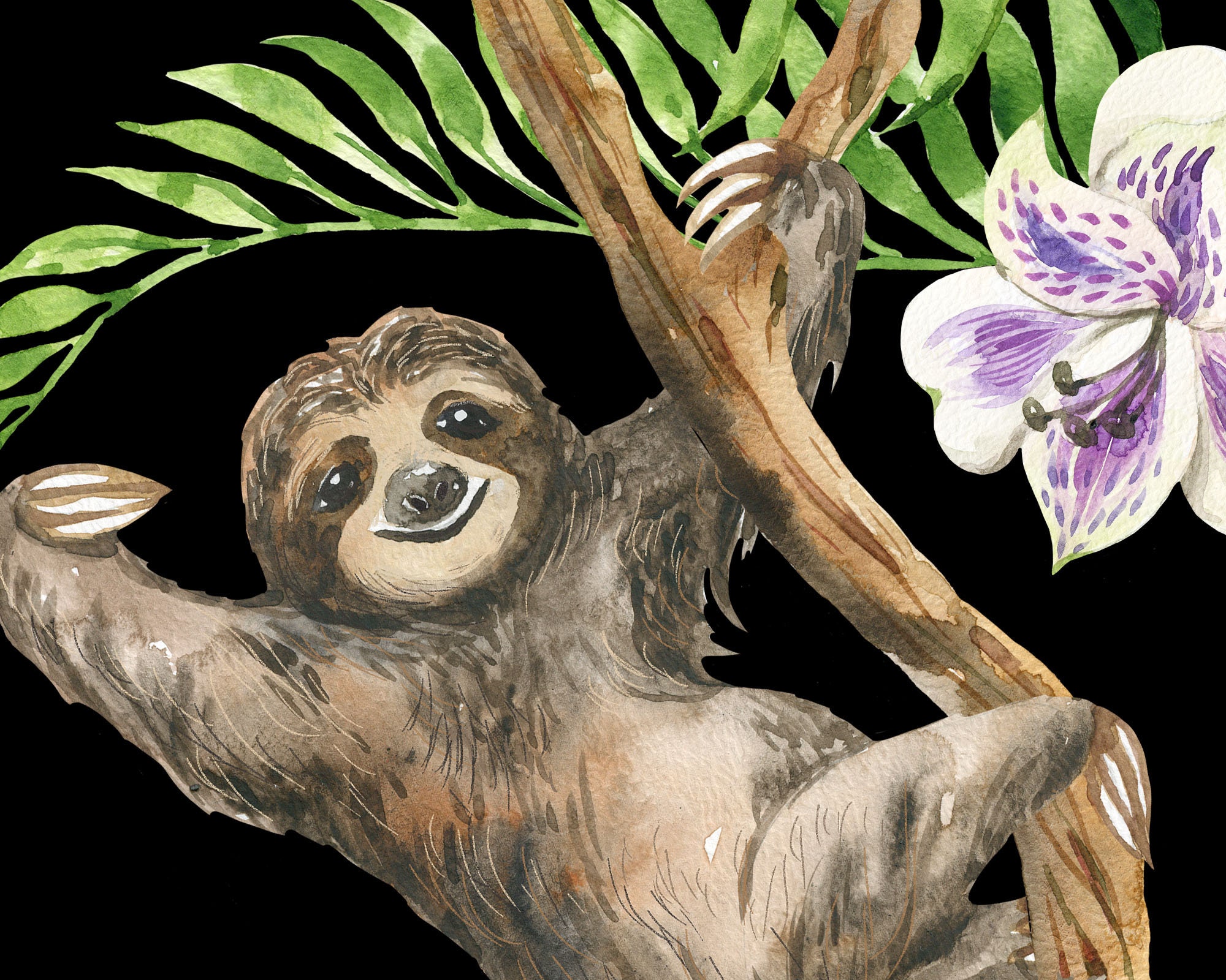 Watercolor Clipart Animal Sloths Tropical Clipart Baby Jungle - Etsy