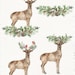 Watercolor Christmas Deer Arrangement Clipart Green Wreath Christmas ...