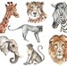 Watercolor African Animals Clipart Wild Animals Logo Design Lion Safari ...