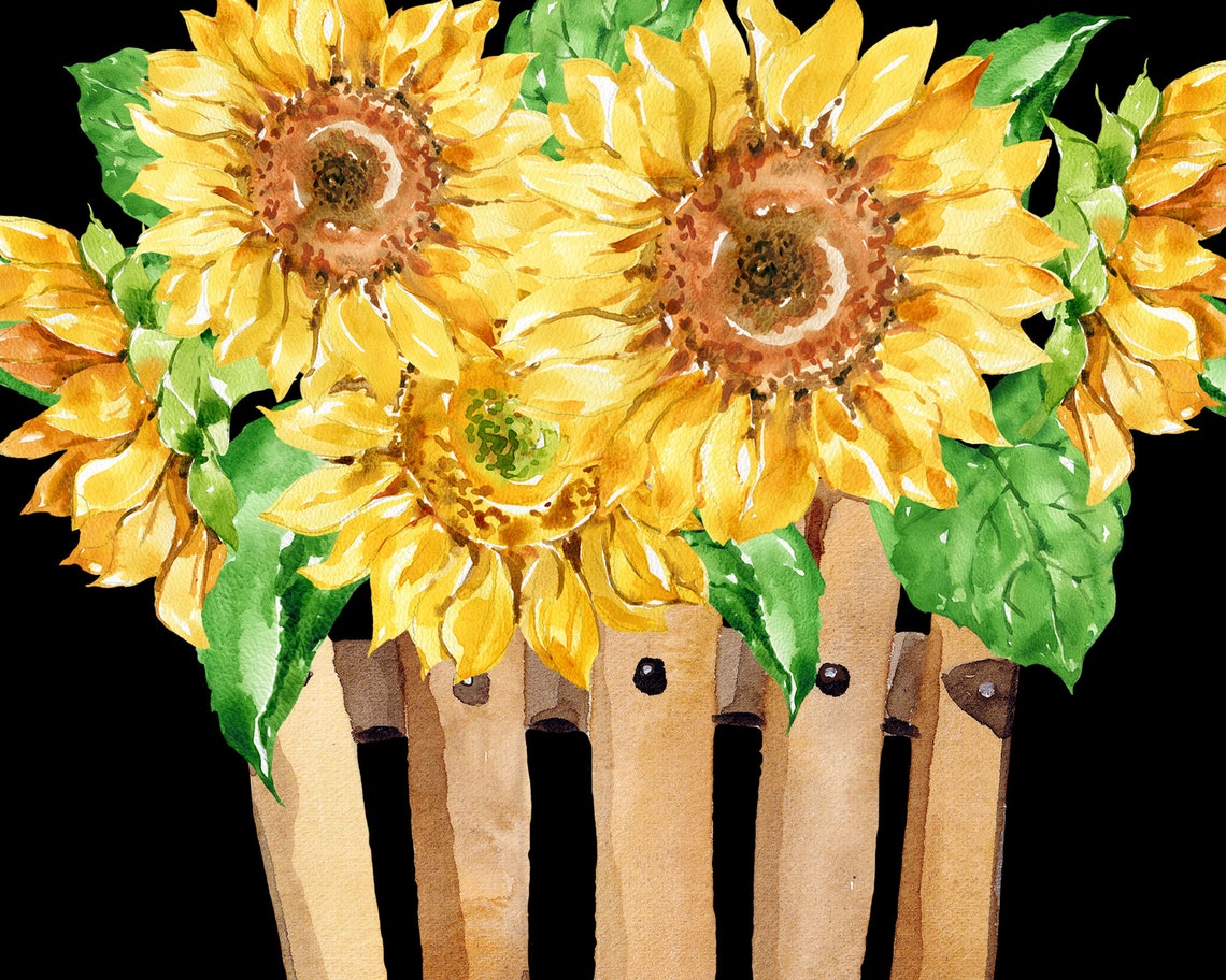 Watercolor Sunflowers Clipart Watercolor Garden Clipart - Etsy