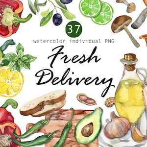 Watercolor Clipart Veggies and Herbs Vegan Food Clipart Watercolor ...