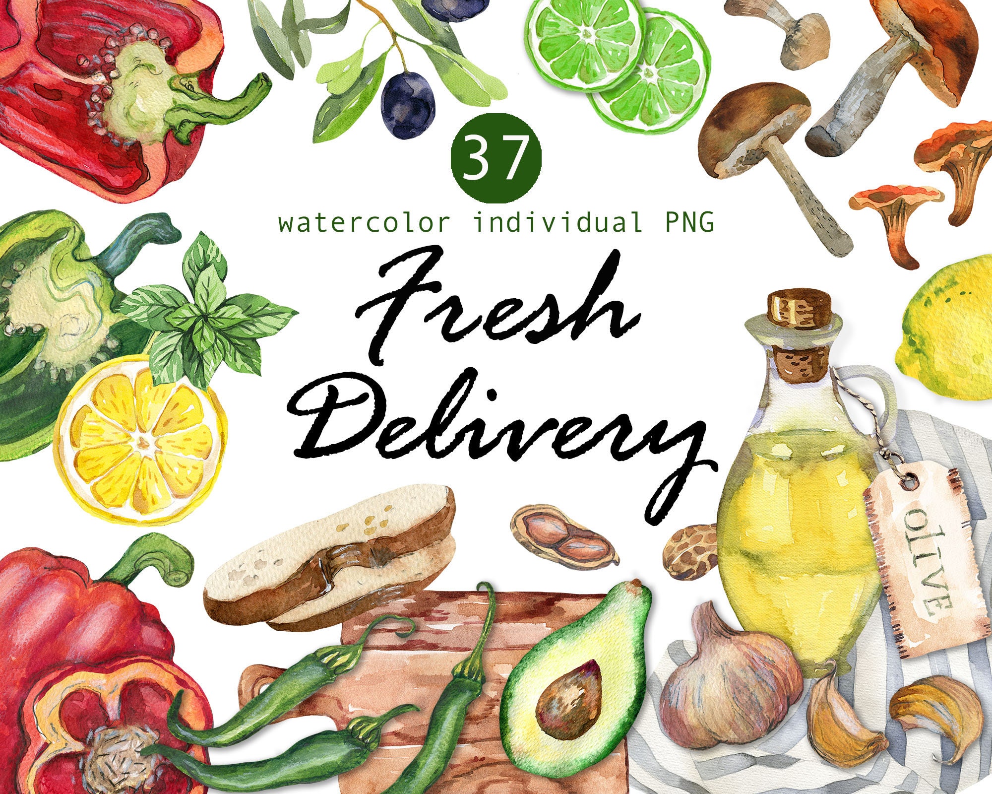 Watercolor Clipart Veggies and Herbs Vegan Food Clipart - Etsy