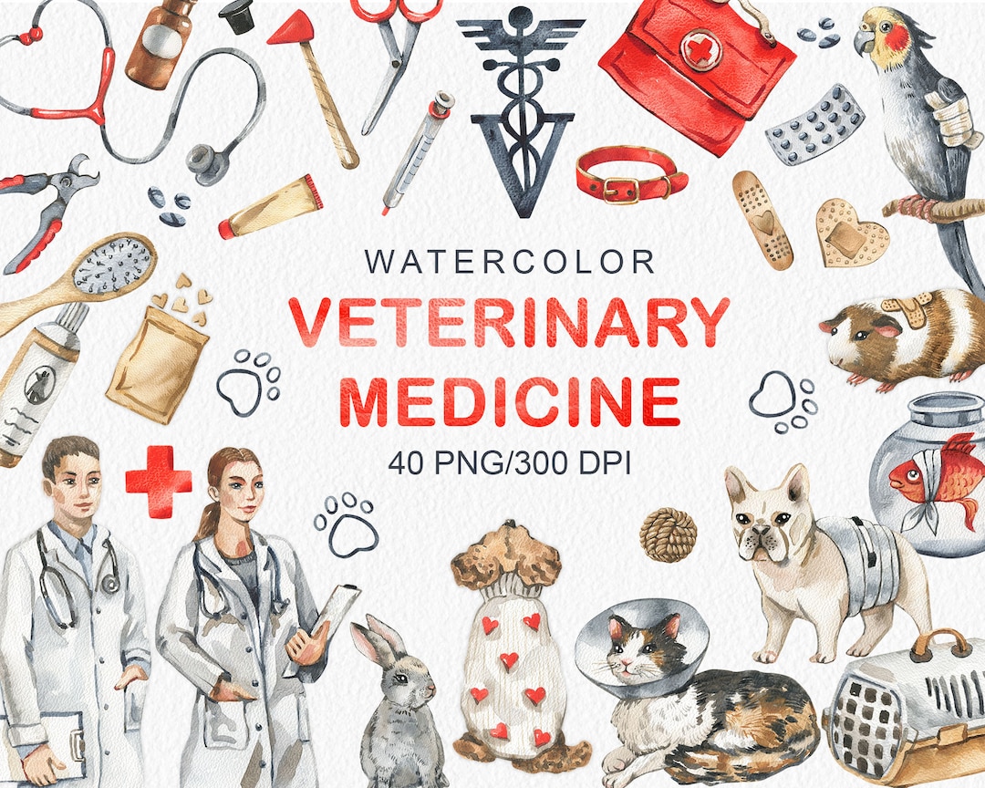 Watercolor Veterinary Medicine Clipart Medical Clip Art Doctor Nurse ...