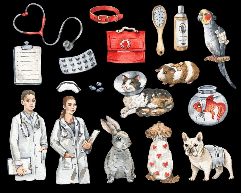 Watercolor Veterinary Medicine Clipart Medical Clip Art Doctor Nurse ...