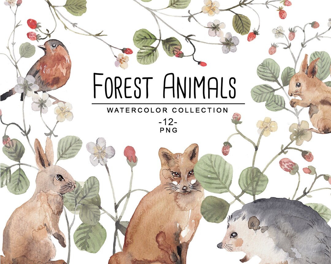 Woodland Animal Clipart Watercolor Baby Animals Cute Clipart Woodland ...