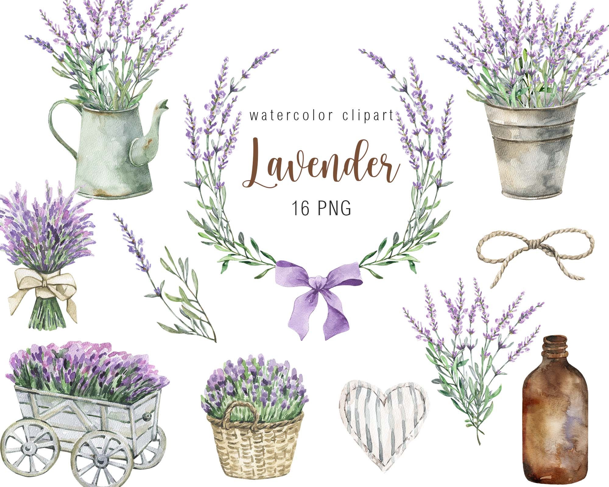 Watercolor Lavender Clipart Romantic Arrangement Watercolour - Etsy