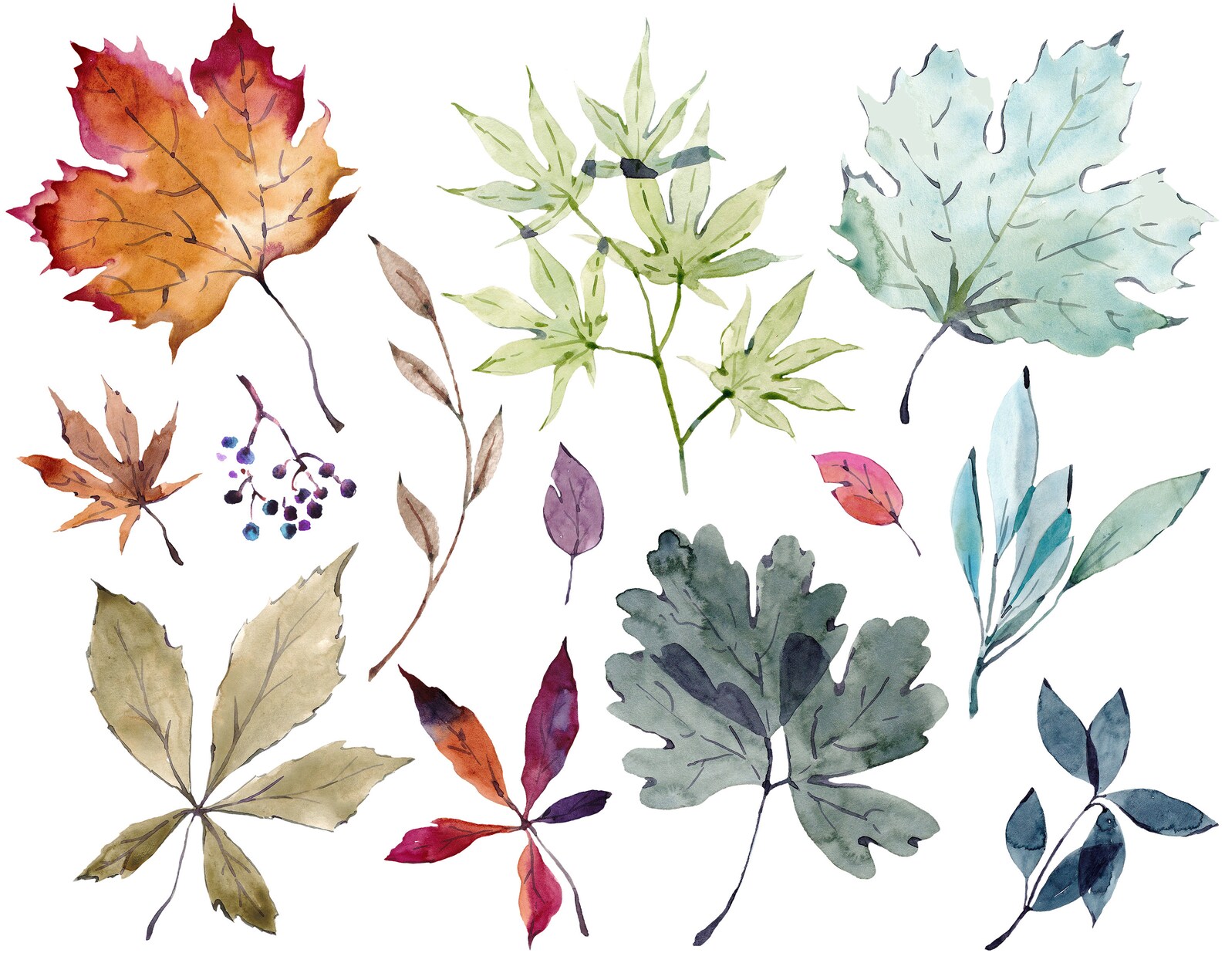 Watercolor Autumn Clipart Fall Clipart Pumpkin Fall Leaves PNG Autumn ...