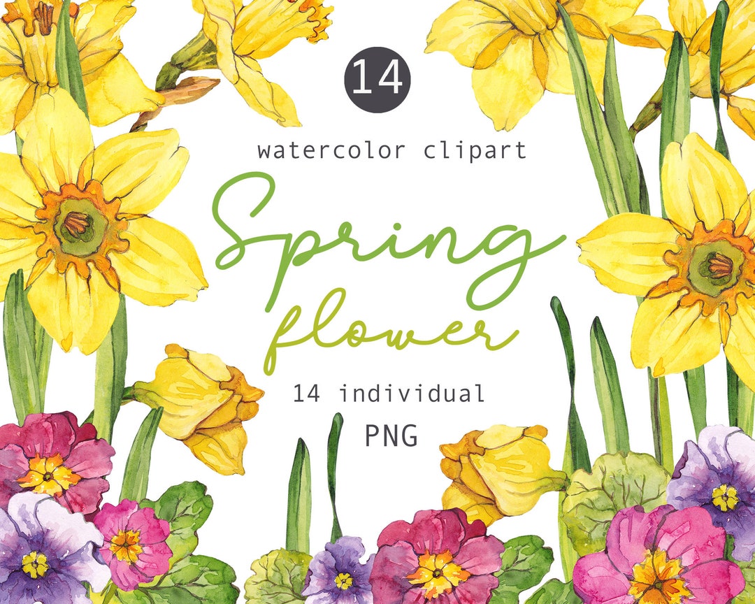 Watercolor Daffodil Floral Clipart Easter Clip Art Spring Flowers ...