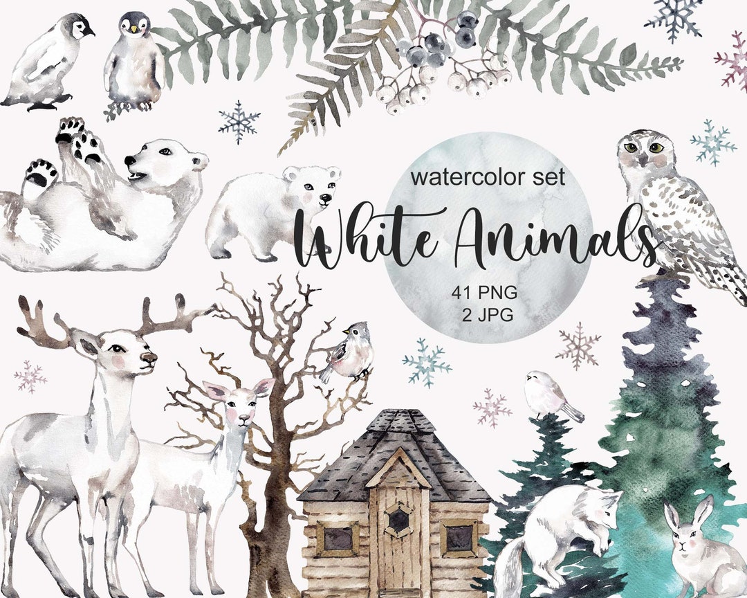 Watercolor White Animals Clipart Christmas Set Winter Wild Animals ...