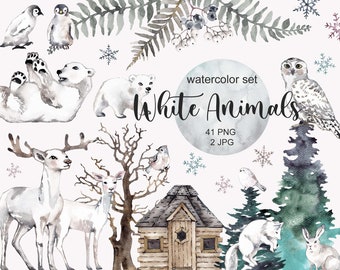 Watercolour Cute Winter Animals Clipart, Animals in Winter Clothes Png ...