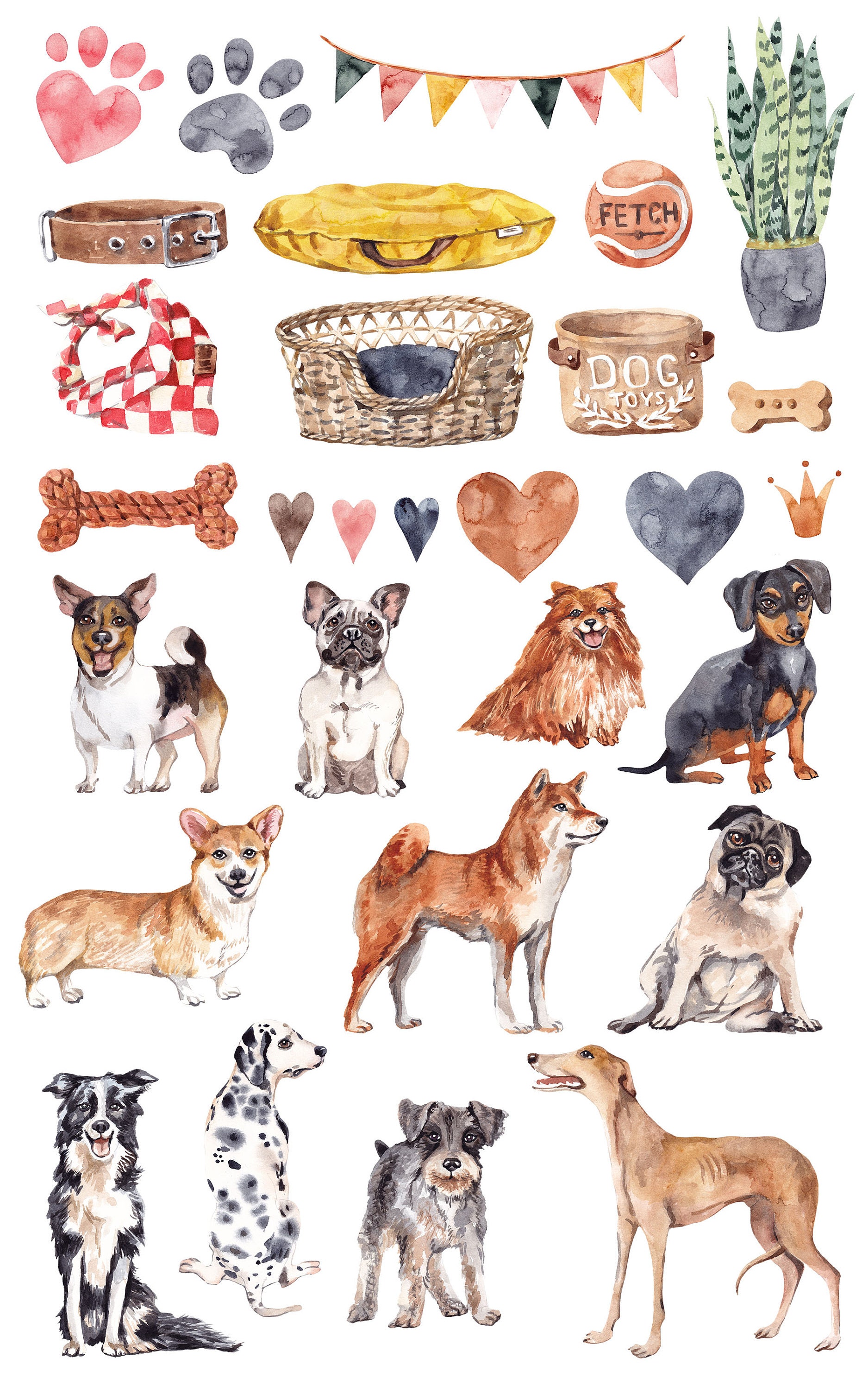 Watercolor Clipart Animal Dog Clipart Water Color Clipart Pet - Etsy