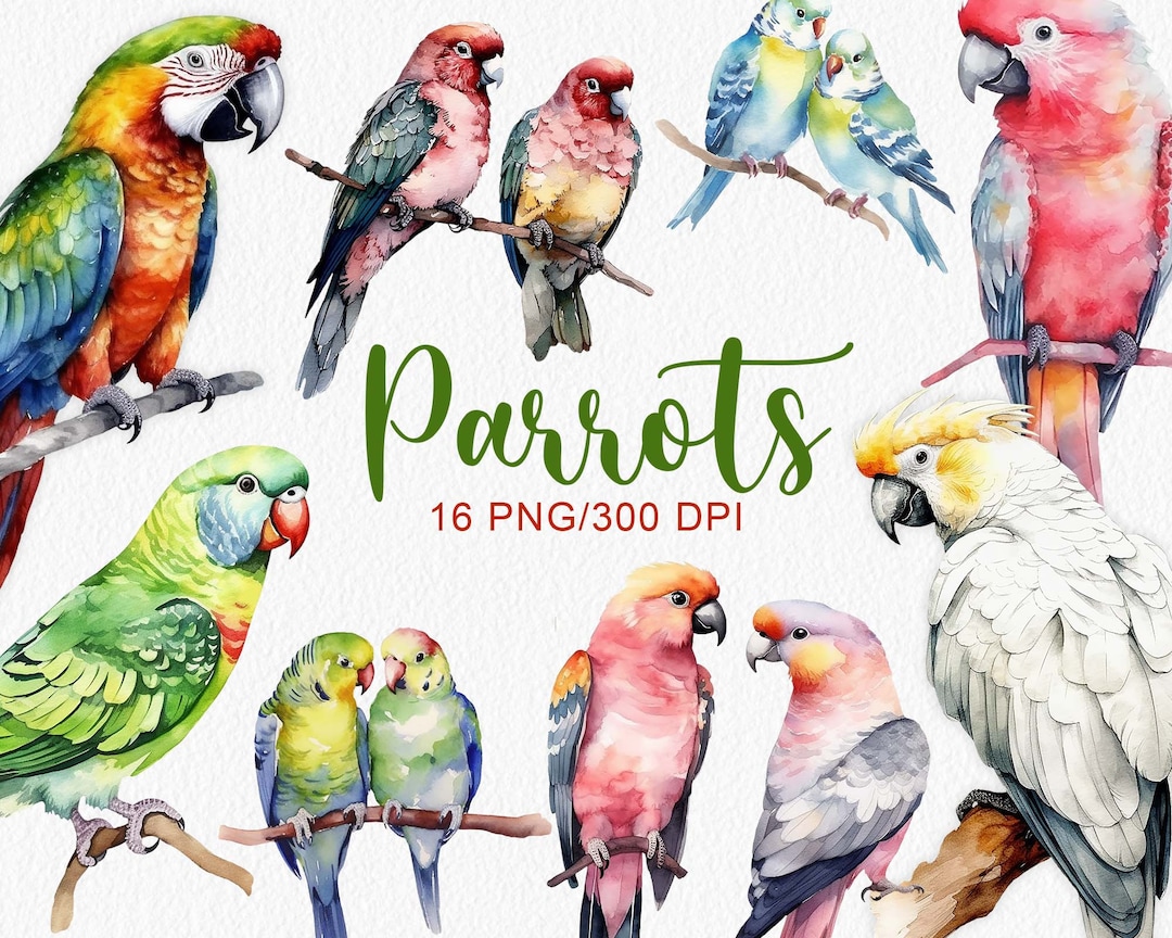 Watercolor Tropical Parrots Tropical Birds Clipart Watercolour Tropical ...
