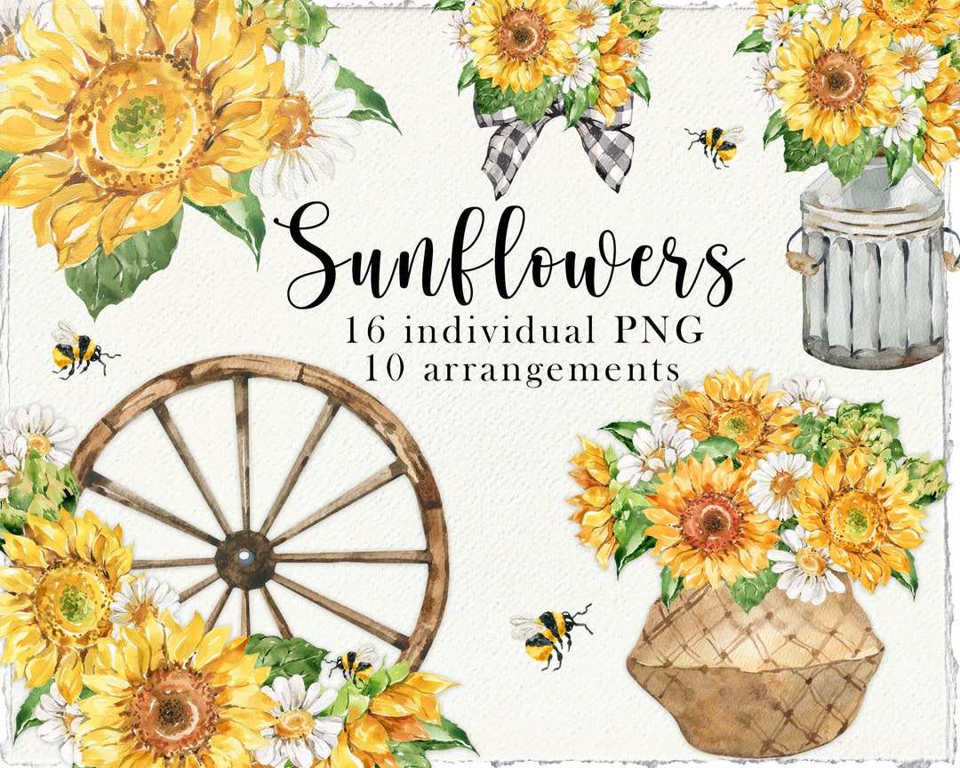 Sunflower Clipart Watercolor Rustic Flowers Png Bouquet Clipart ...