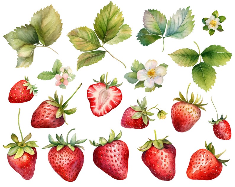 Watercolor Strawberry Clipart Strawberry Clip Art Watercolour - Etsy