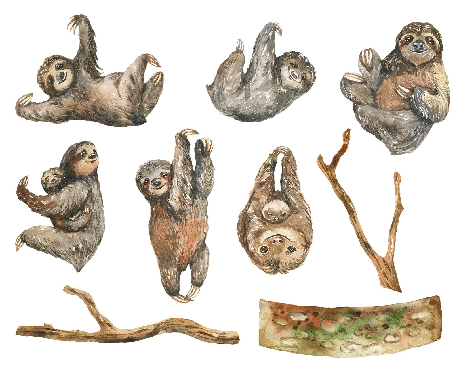 Watercolor Clipart Animal Sloths Tropical Clipart Baby Jungle - Etsy