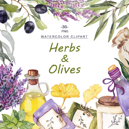 Watercolor Essential Oil Clipart Herbs Floral Clip Art - Etsy
