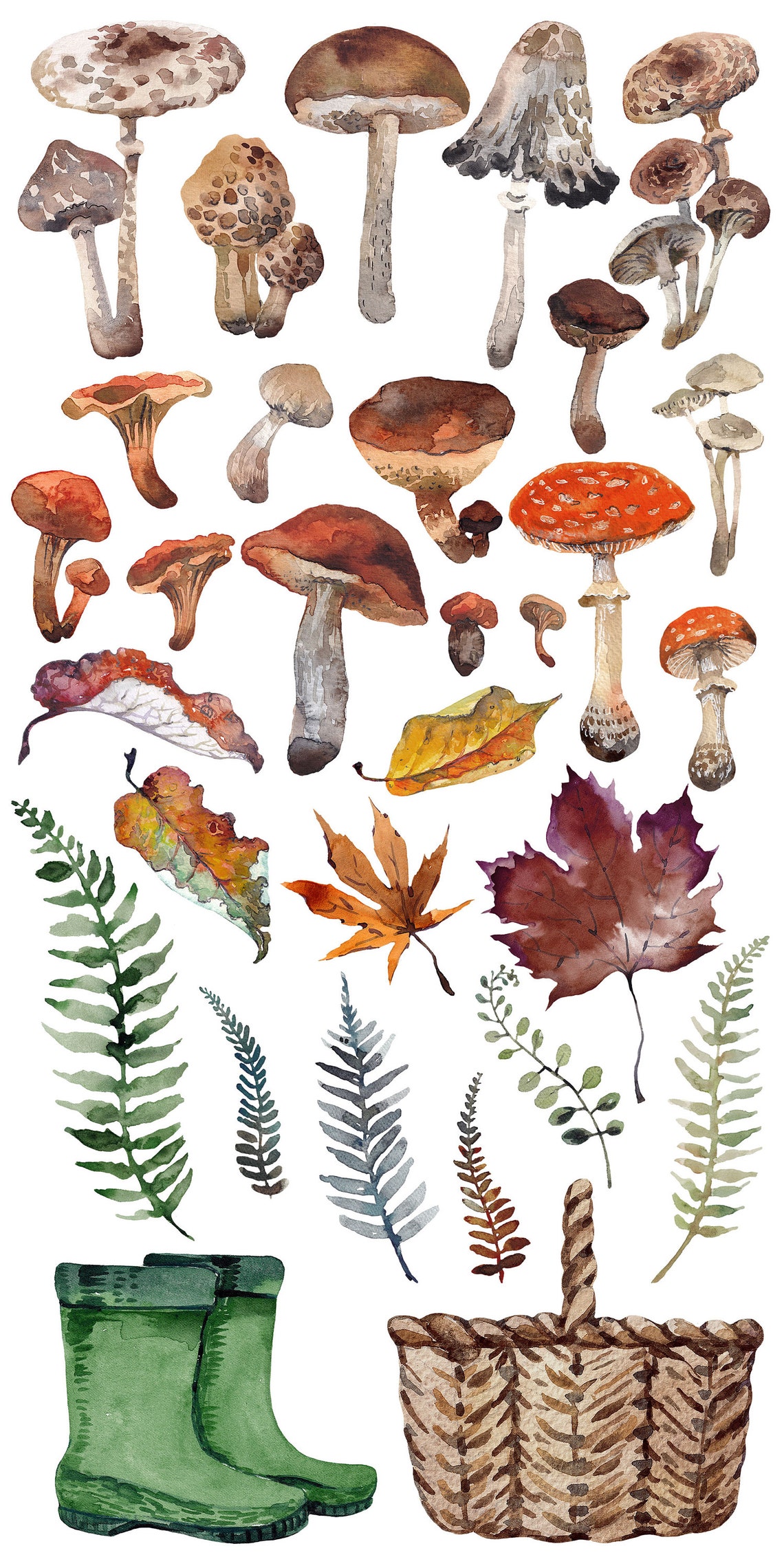 Watercolor Autumn Mushrooms Clipart Fall Time Woodland Forest | Etsy