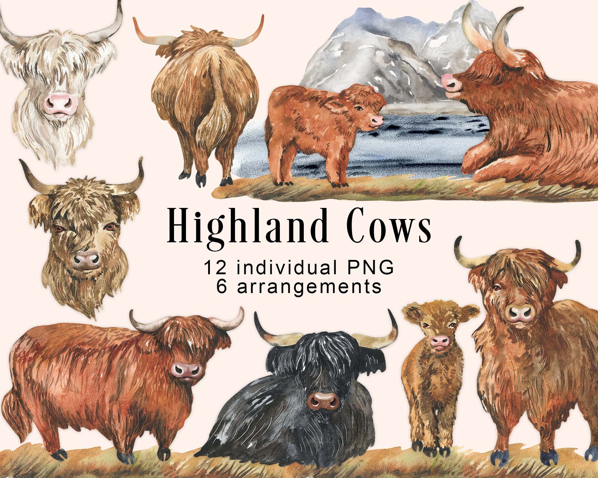 Watercolor Highland Cows Clipart Farm Animals Clipart - Etsy