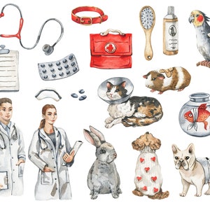 Watercolor Veterinary Medicine Clipart Medical Clip Art Doctor Nurse ...