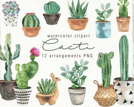 Watercolor Cacti Clipart Home Watercolour Plant Succulents - Etsy