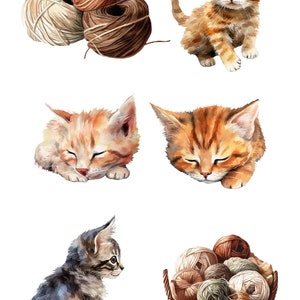 Watercolor Kitten Collection Animal Cats Clipart Pet Cats Clipart Cute ...