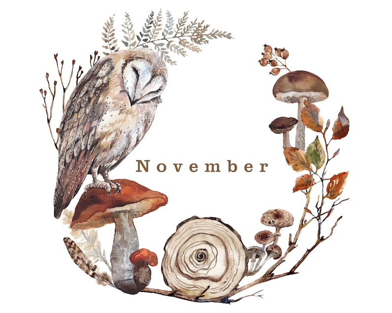 Watercolor Autumn Clipart Watercolour Fall Wreath Owl | Etsy