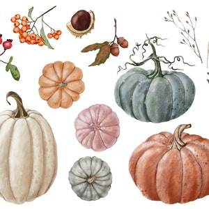 Hand Drawn Autumn Collection Clipart Fall Leaves Clip Art Cozy Decor ...