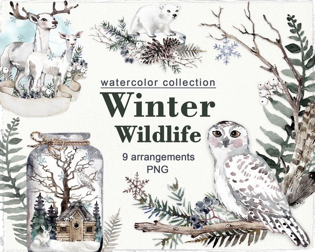 Watercolor Arctic Animals Clipart Christmas Arrangements Winter Wild ...