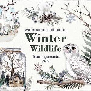 Watercolor Arctic Animals Clipart Christmas Arrangements Winter Wild ...