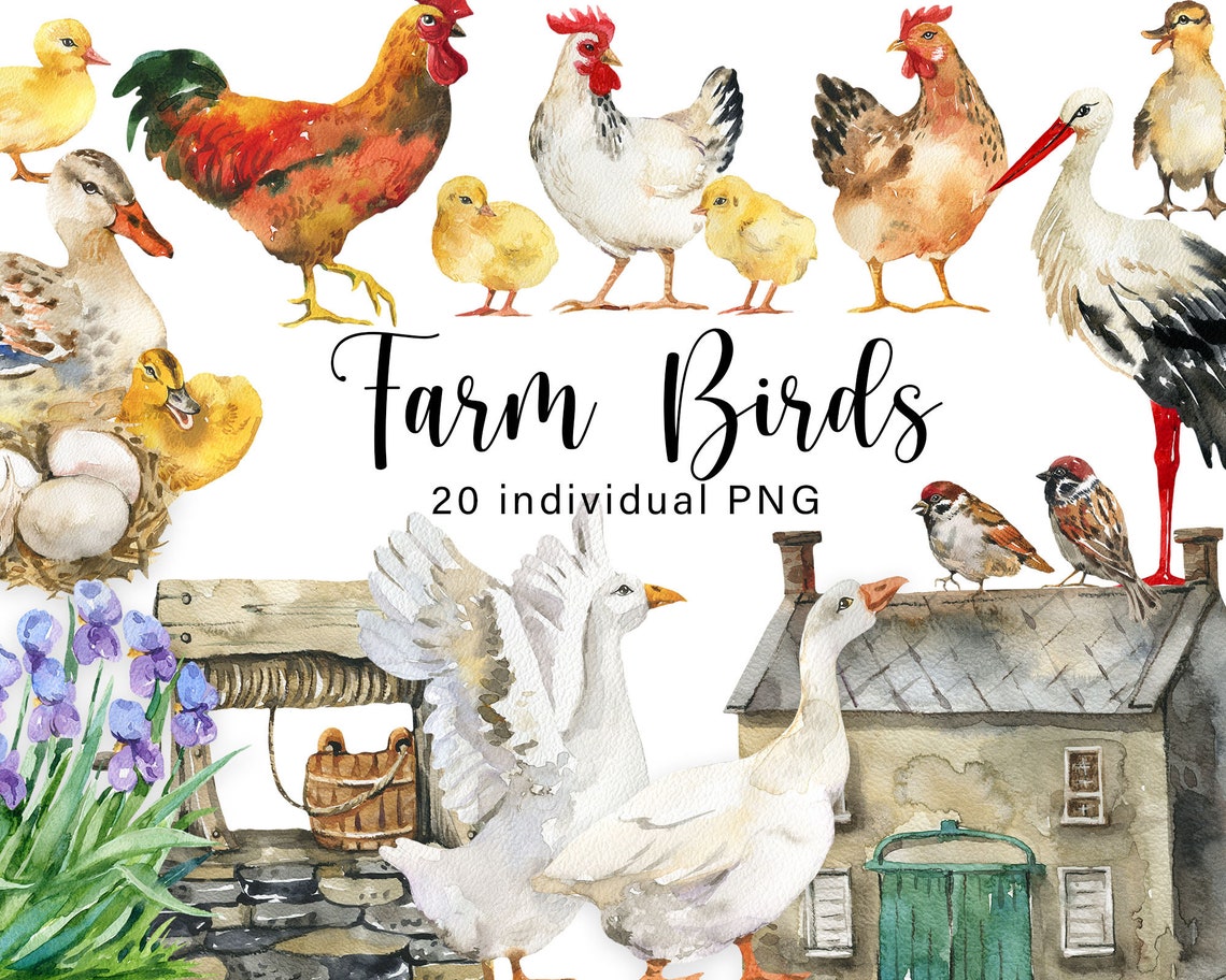 Watercolor clipart animal Farm Birds Clipart Farmhouse Decor | Etsy