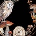 Watercolor Autumn Clipart Watercolour Fall Wreath Owl Mushrooms Leaves ...