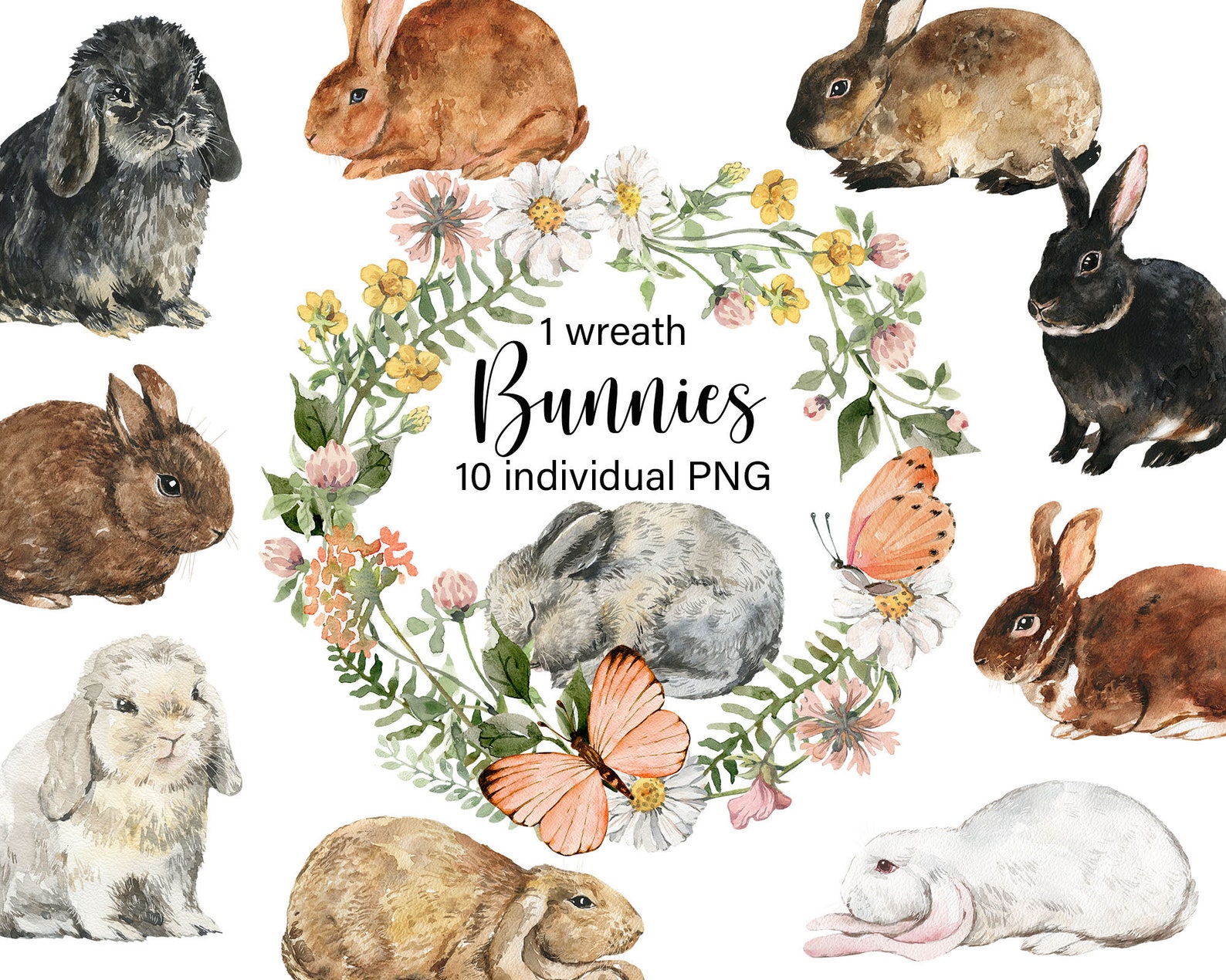 Watercolor Bunnies Clipart Animals Farm Rabbit Png Cute - Etsy