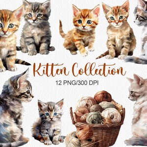 Watercolor Kitten Collection Animal Cats Clipart Pet Cats Clipart Cute ...