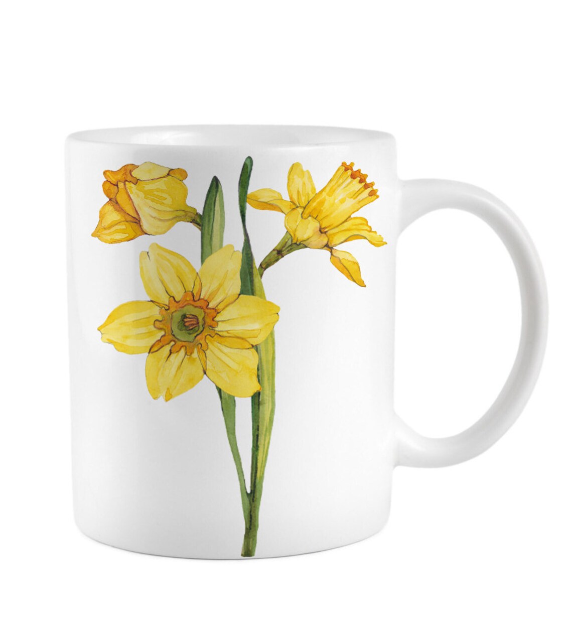 Watercolor Daffodil Floral Clipart Easter Clip Art Spring - Etsy