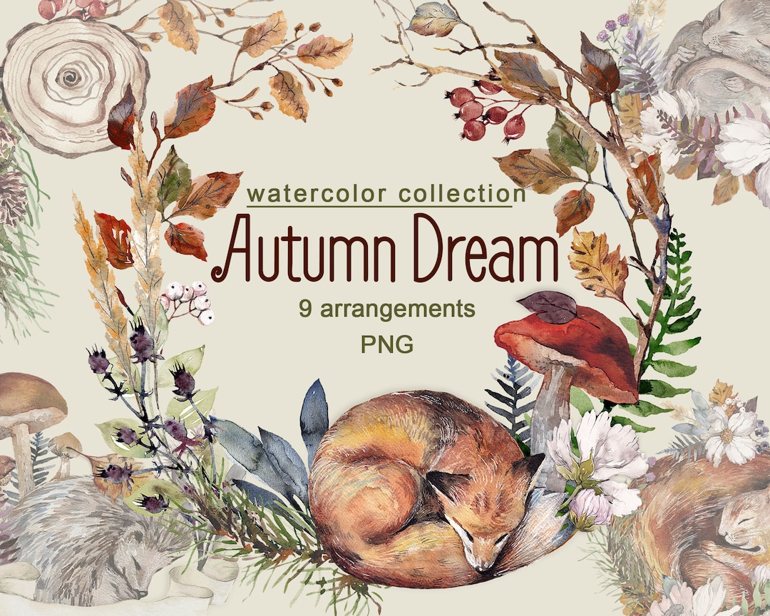 Woodland Animals Clipart Forest Autumn Compositions With Watercolor Fox ...